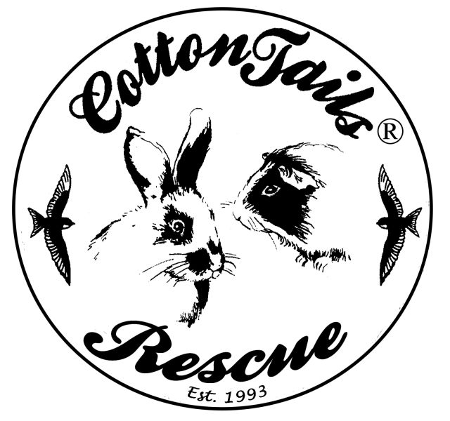 Home - CottonTails Rabbit & Guinea Pig RescueCottonTails Rabbit ...